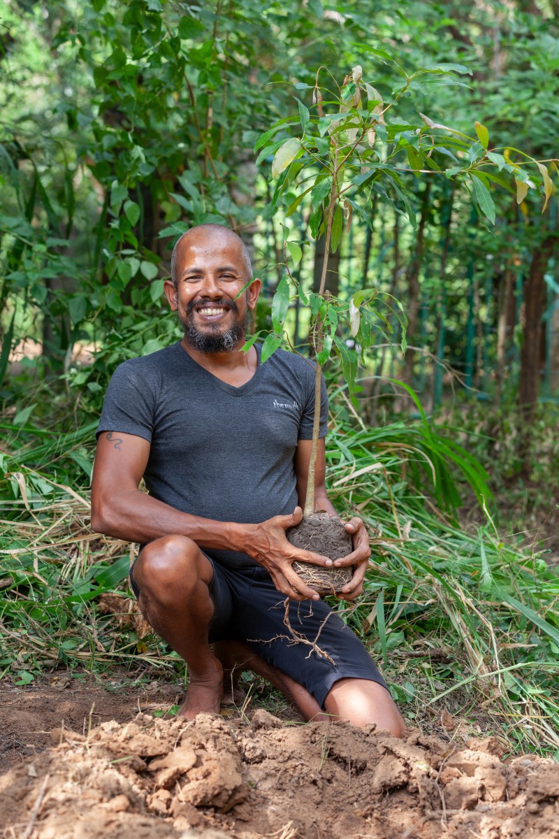 Reforesting Paradise | Smriti Daniel